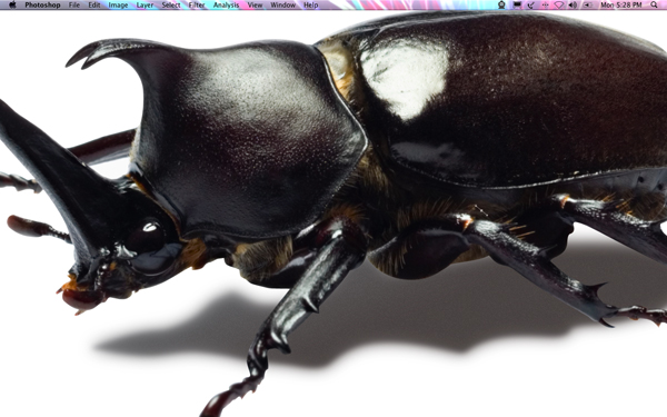 The Supercharged Beetle of Doom! - Tutorial Ilustrator