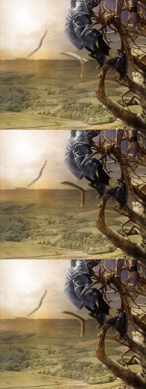 The Making of Rapture