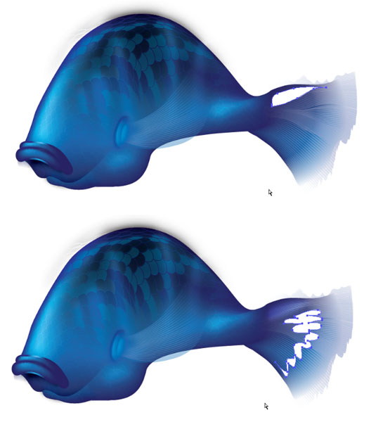 Create an Artistic Vector Fish with Layered Effects