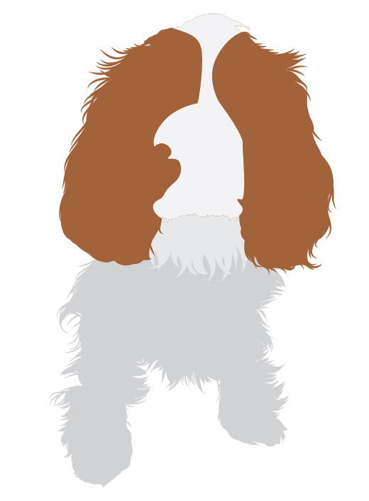 Creating a Detailed Furry Dog Portrait with Art Brushes